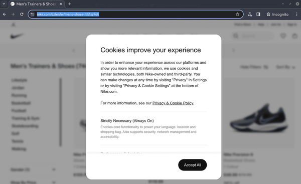 Python Playwright: the ultimate guide