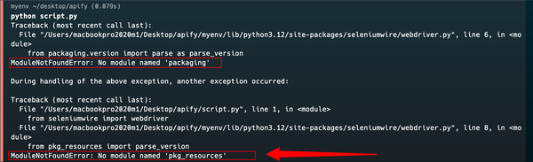 How to use Selenium Wire
